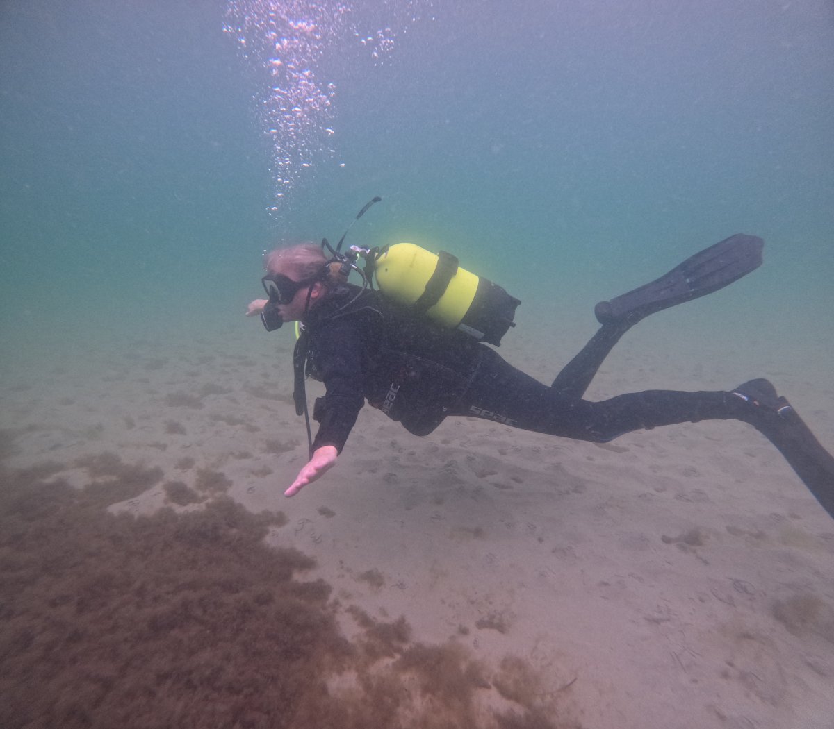 Bliv CMAS-dykker – tag dit certifikat hos os i dag